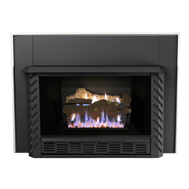High Efficiency Propane Fireplace Inserts – Mriya.net