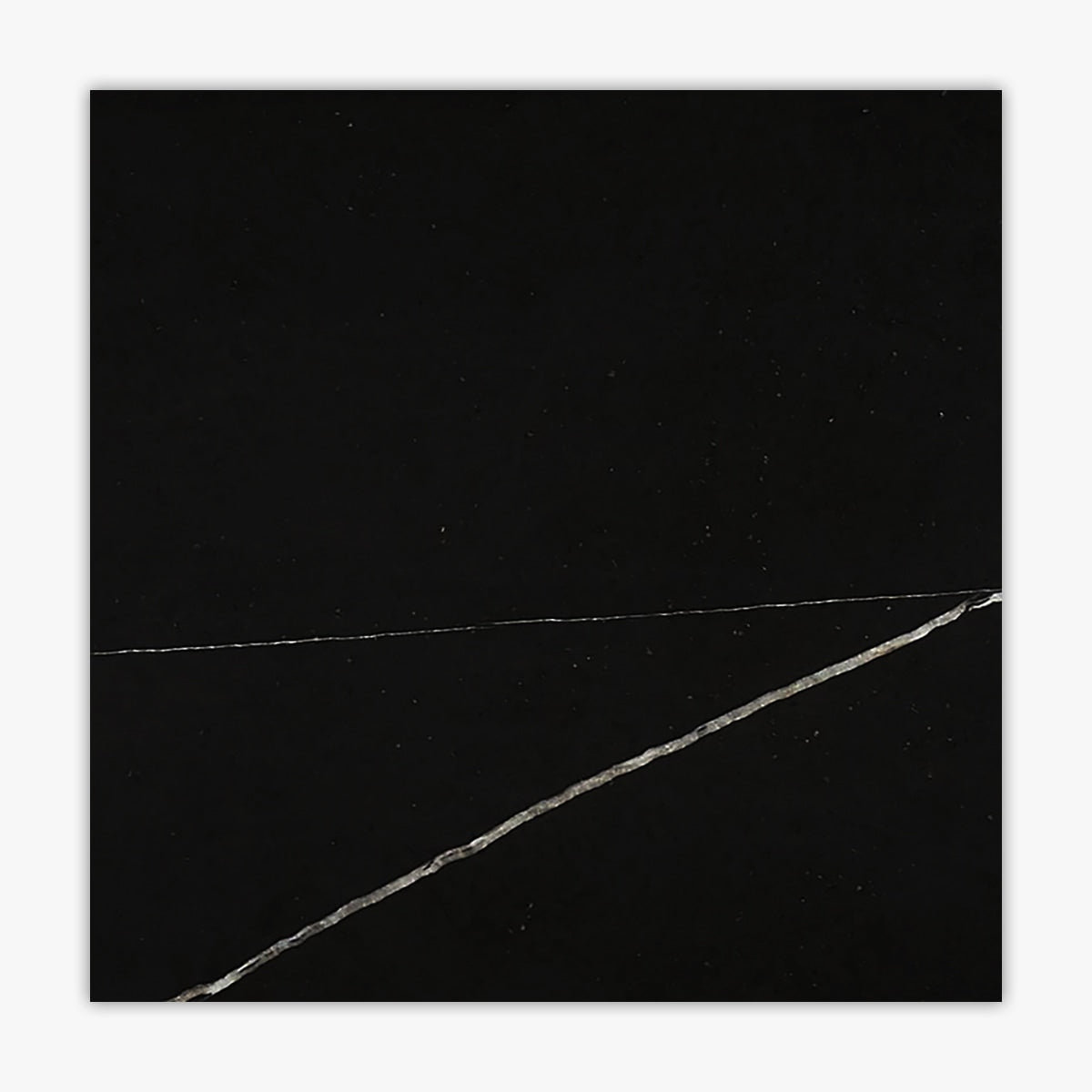 Direct Stone Source Polished Micro Beveled 18" x 18" Marble Tile | Wayfair