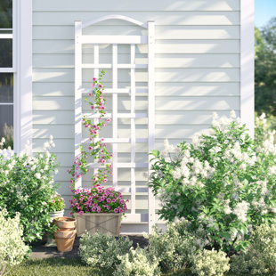 Wayfair | Trellises You'll Love in 2022