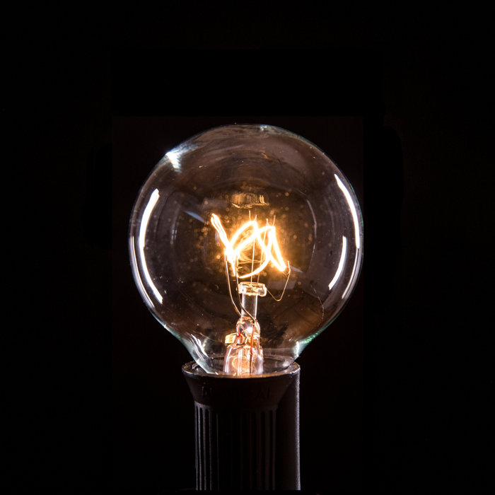 Ebern Designs Henleaze 25'' Outdoor 25 - Bulb Globe String Light (End ...