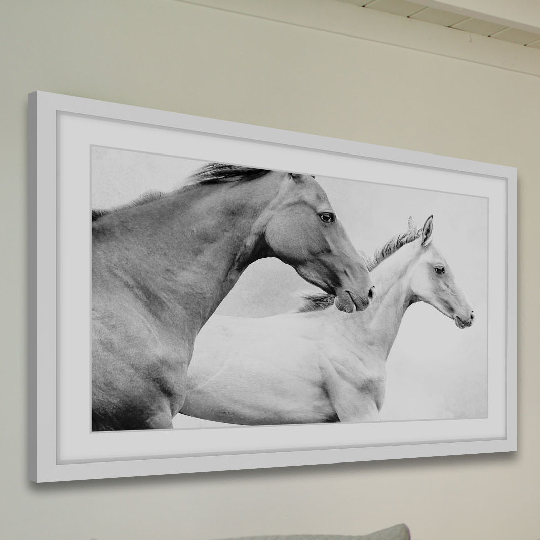 Marmont Hill Side By Side - Picture Frame Photograph | Wayfair