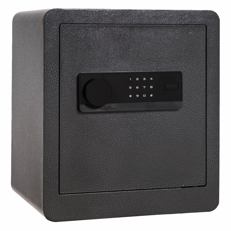 Ling IN Caesar Security Safe with Dual-Lock | Wayfair