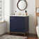 CosmoLiving by Cosmopolitan Leona 30” Bathroom Vanity | Wayfair