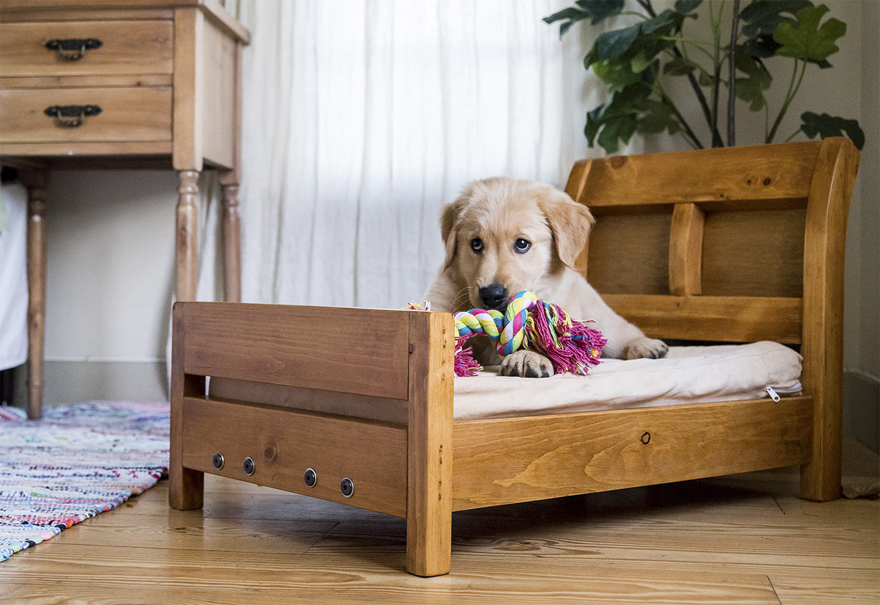 [BIG SALE] Snuggle & Snooze: Dog Beds You’ll Love In 2022 | Wayfair