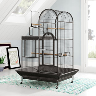 Toucan Bird Cages You'll Love in 2021 | Wayfair