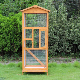 Wayfair | Bird Aviaries