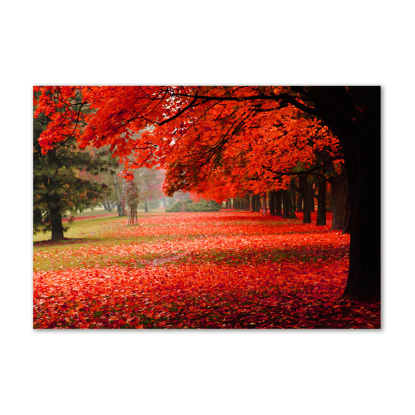 Ophelia & Co. Trees In Autumn - Unframed Art Prints on Canvas | Wayfair ...