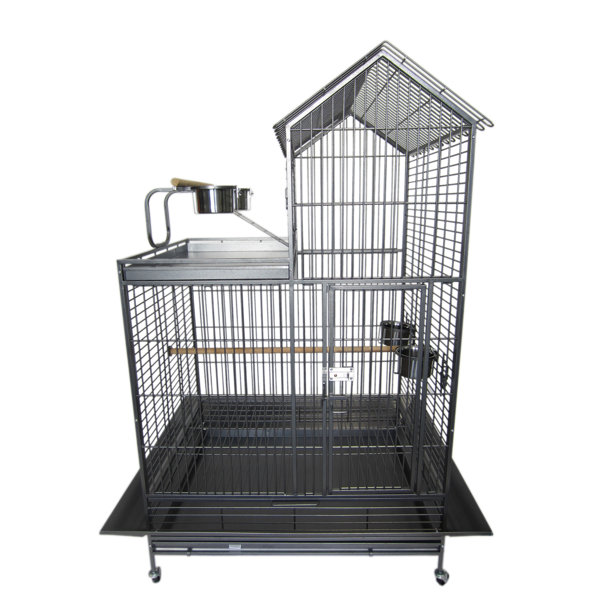 Parrot Cages | Wayfair