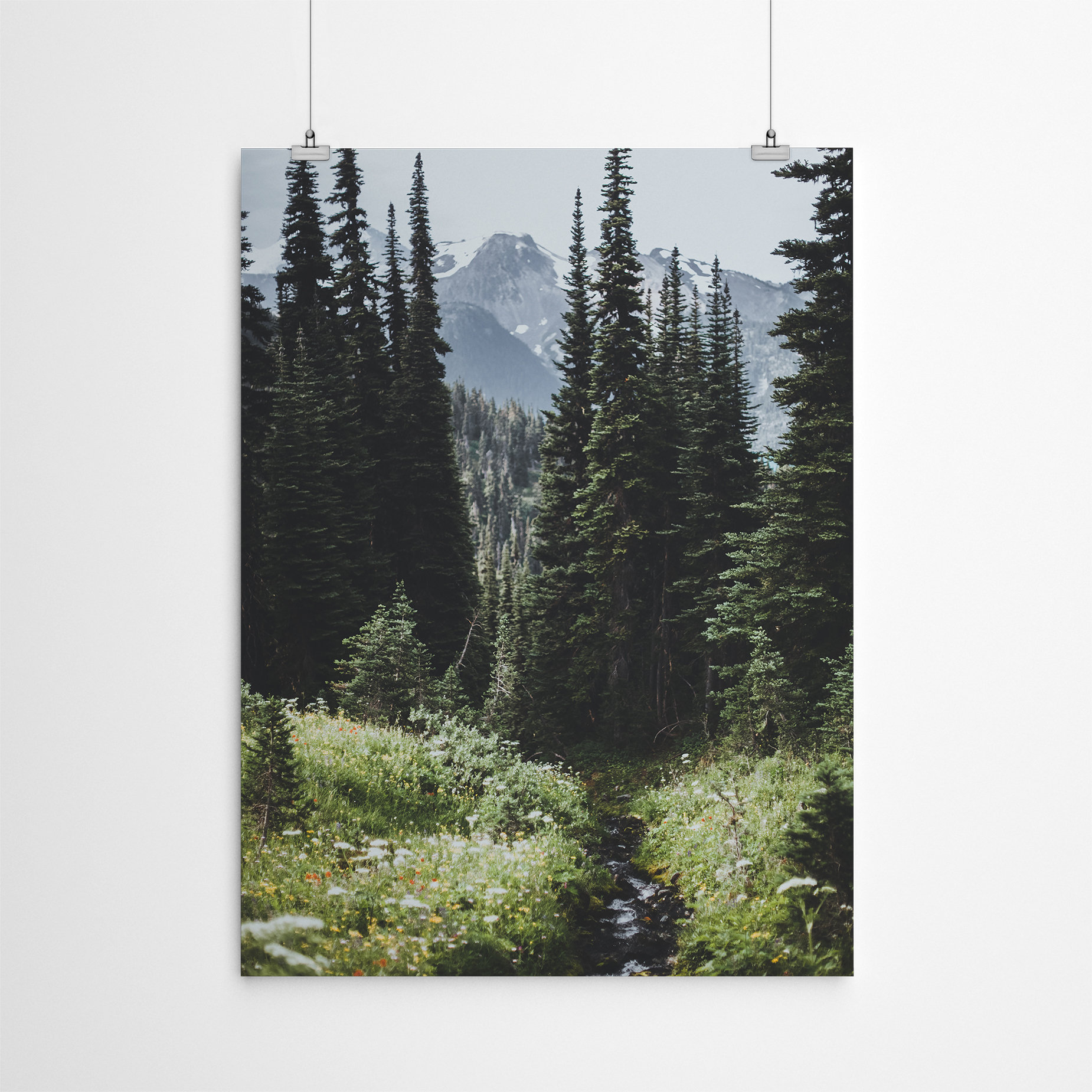 Alpen Home Garibaldi Canada by Luke Gram - Poster Art Print | Wayfair.co.uk