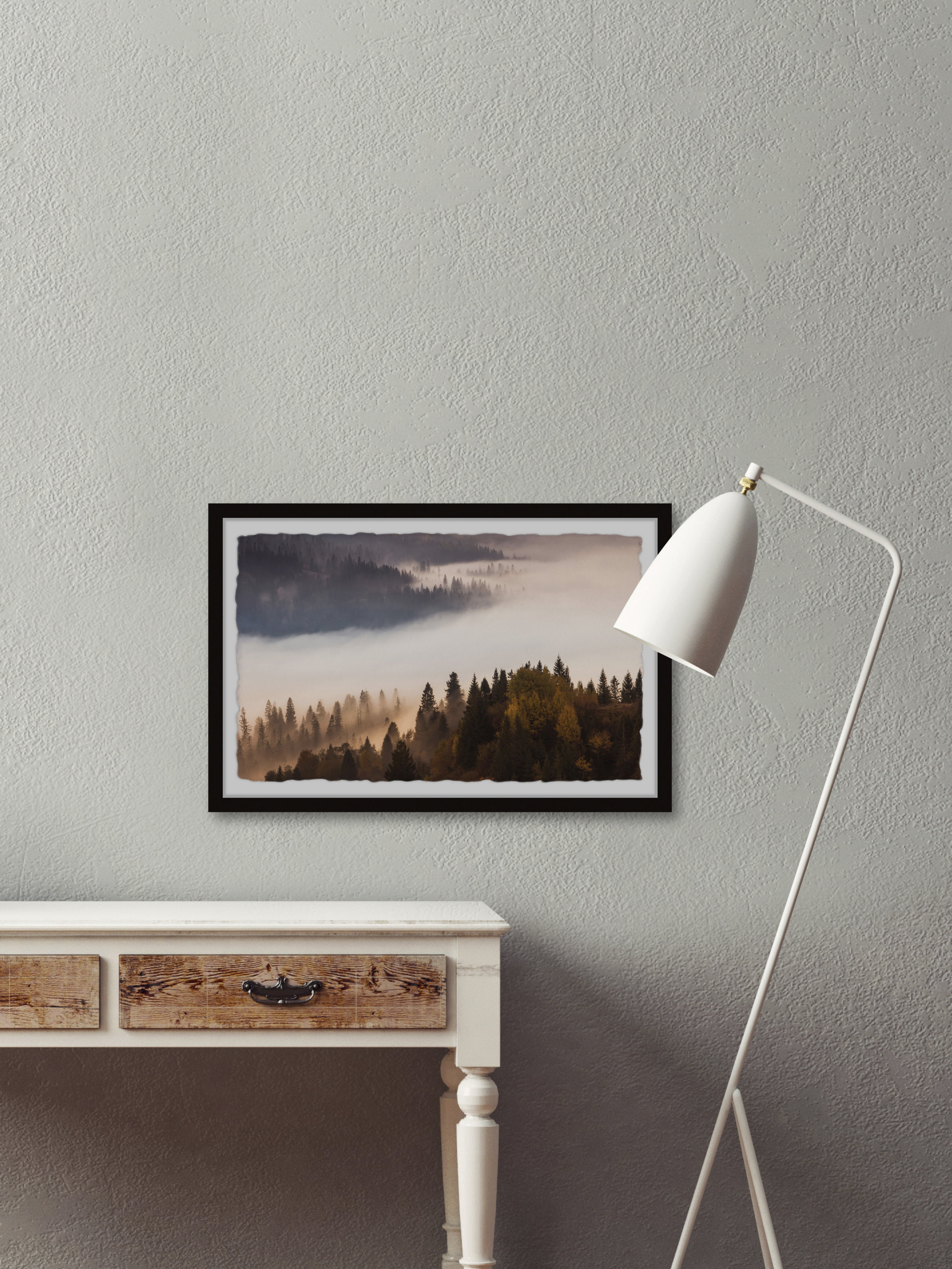 Loon Peak® Into The Forest - Picture Frame Photograph | Wayfair