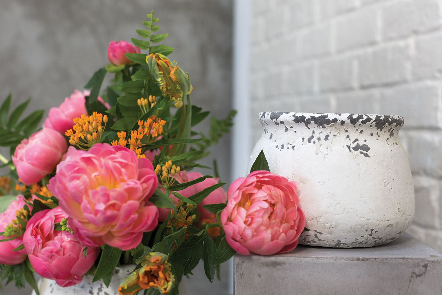 Williston Forge Gjelosh Ceramic Pot Planter | Wayfair