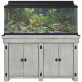Fish Tanks & Aquariums For Sale That you'll Love in 2021 | Wayfair
