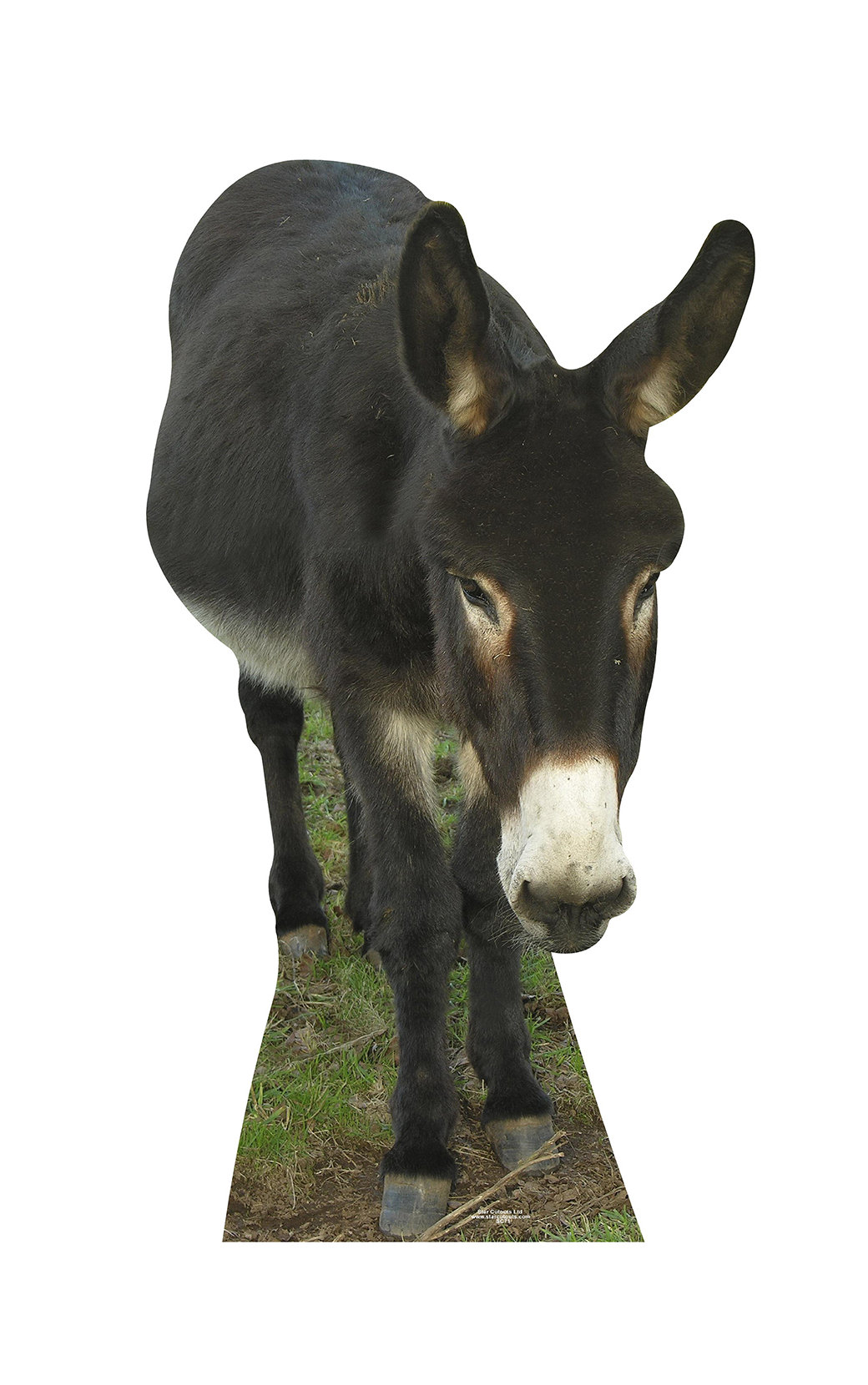 Star Cutouts Donkey Cardboard Standup | Wayfair