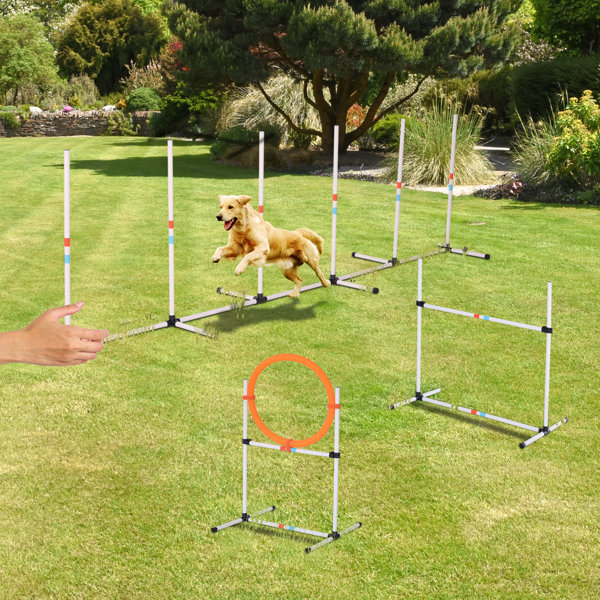 Pawhut 3 Piece Pet Agility Training Set & Reviews | Wayfair
