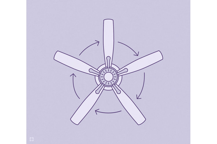 How to Find Which Direction Ceiling Fans Should Spin | Wayfair
