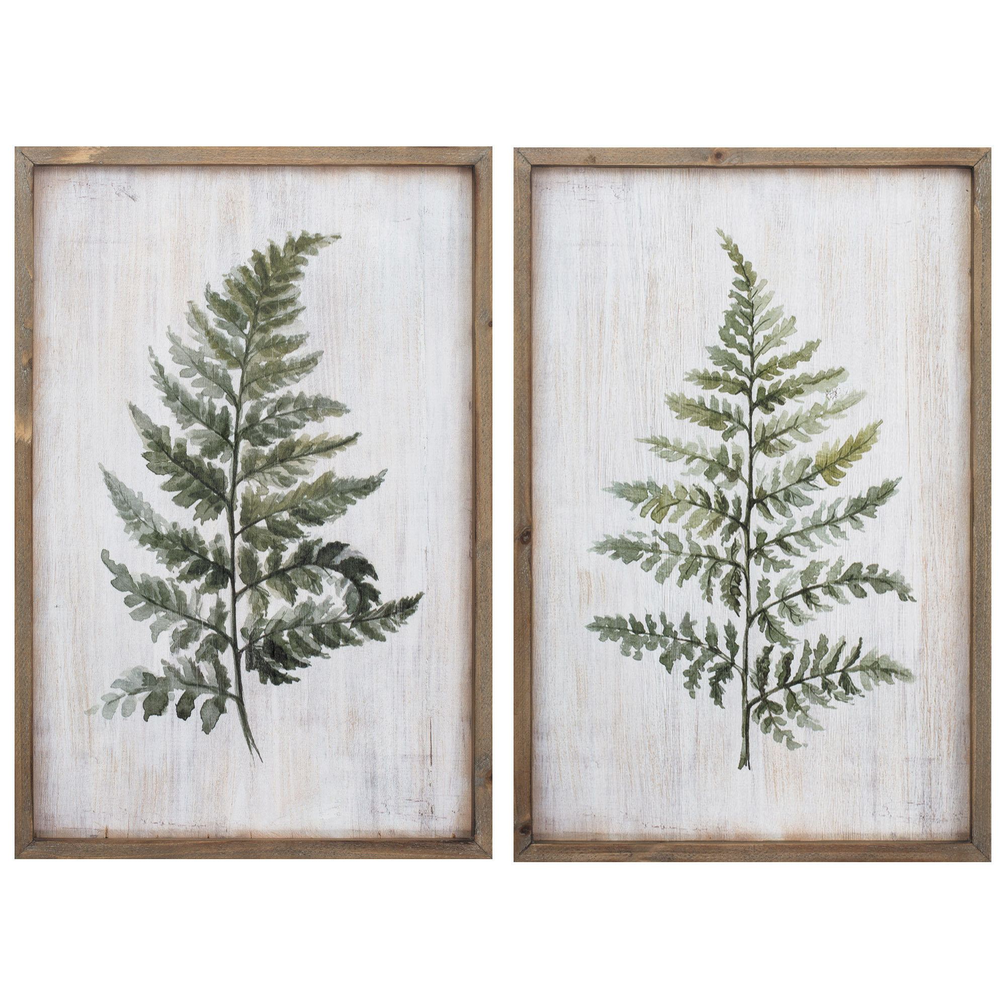 Bay Isle Home 2 Piece Ferns Wall Décor Set | Wayfair