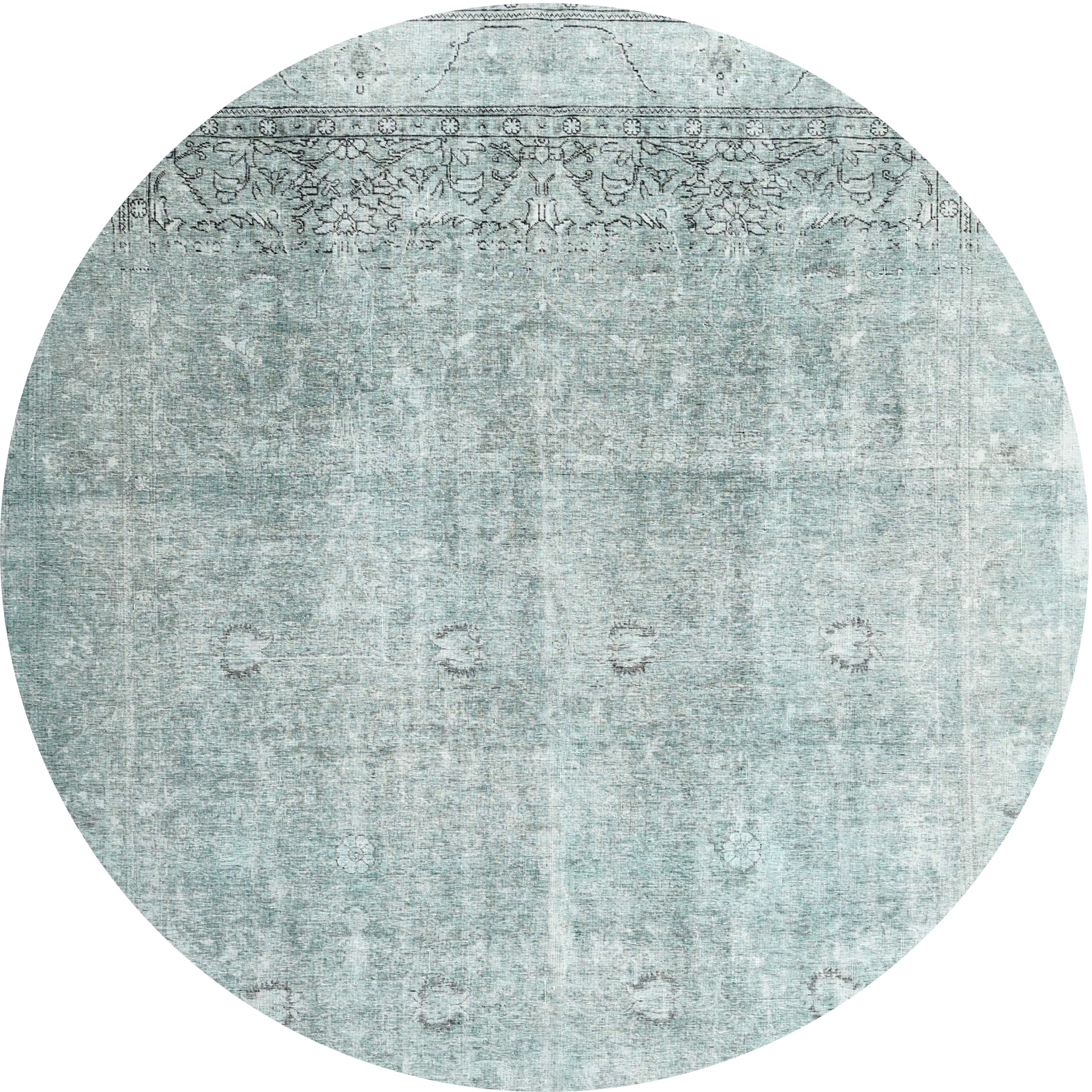 Williston Forge Deering Light Teal Rug | Wayfair