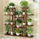 Lark Manor Large Multi-tier Plant Stand & Reviews | Wayfair