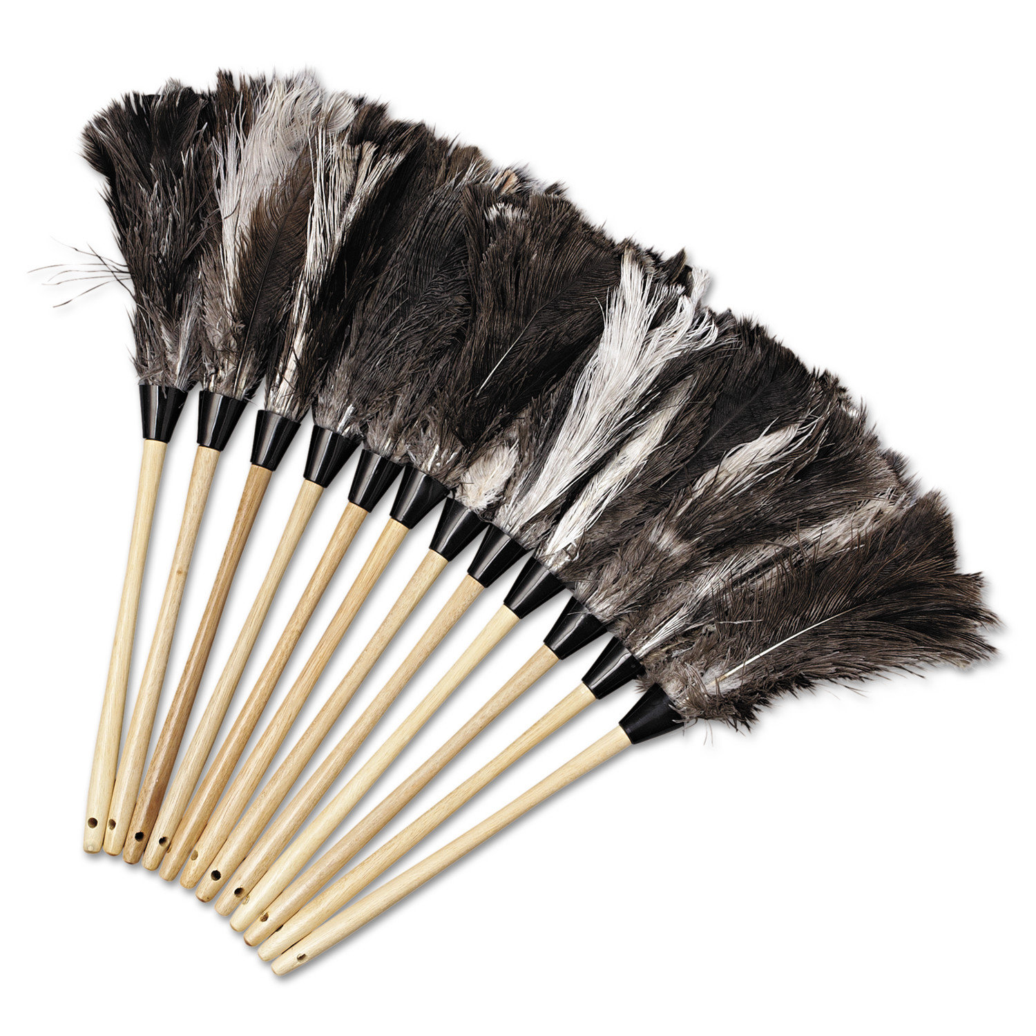 Unisan 13" Handle Professional Ostrich Feather Duster & Reviews | Wayfair