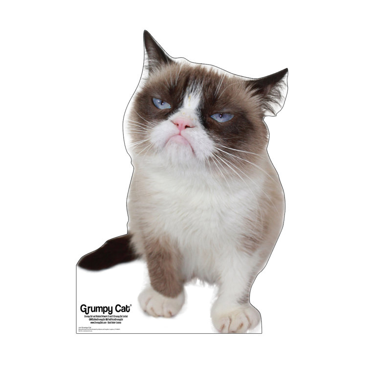 Advanced Graphics Grumpy Cat Cardboard Standup - Wayfair Canada