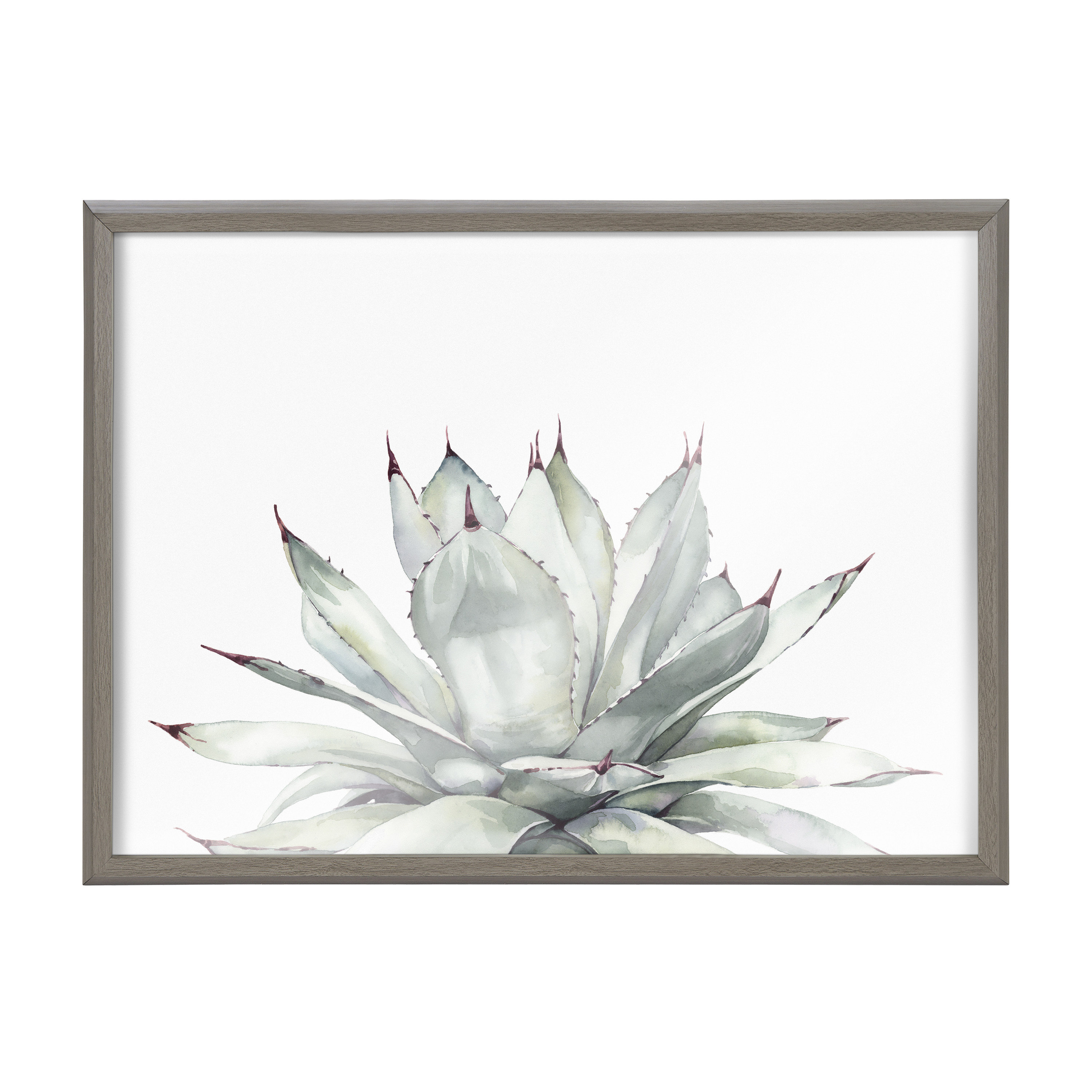 Kate and Laurel Parrys Agave by - Picture Frame Graphic Art on Glass ...