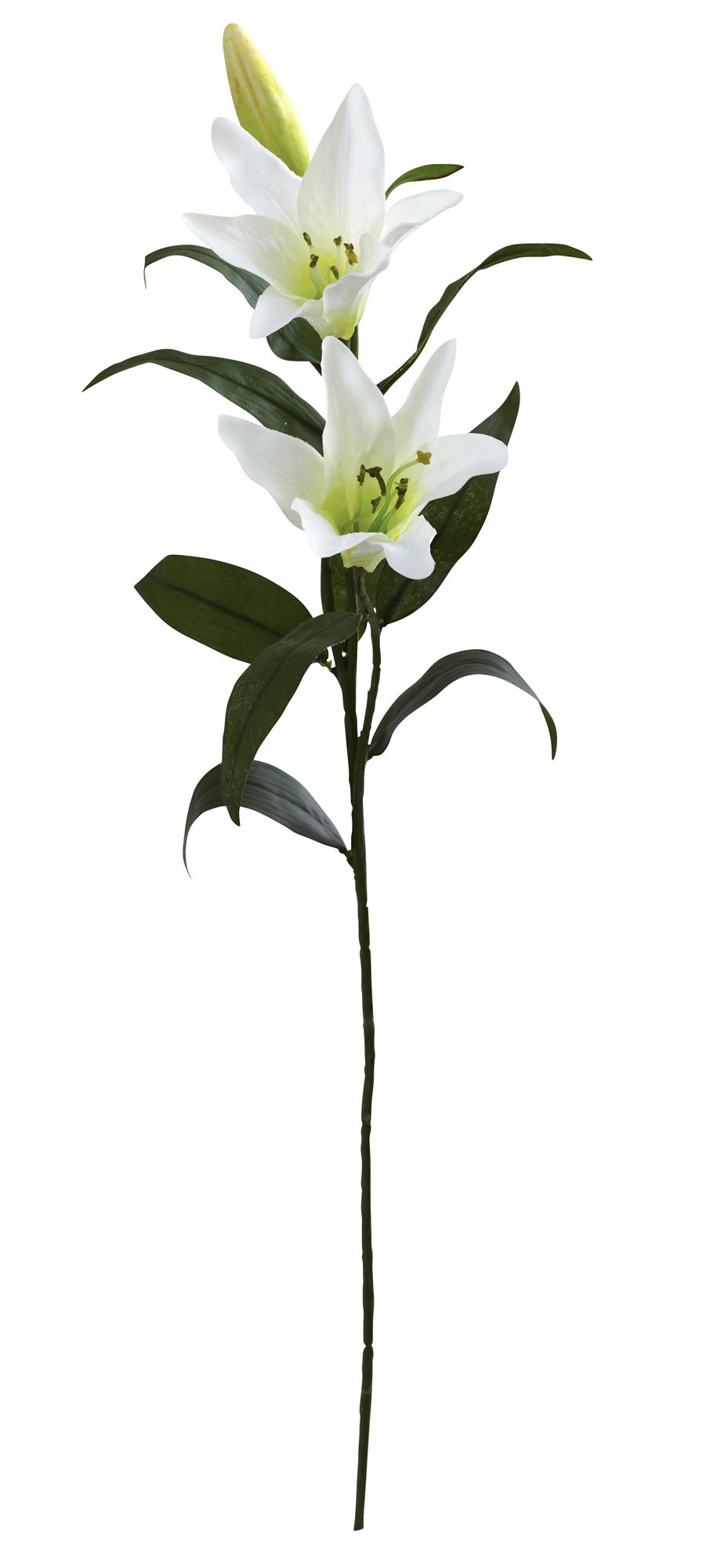 Charlton Home® Lilies Stem | Wayfair