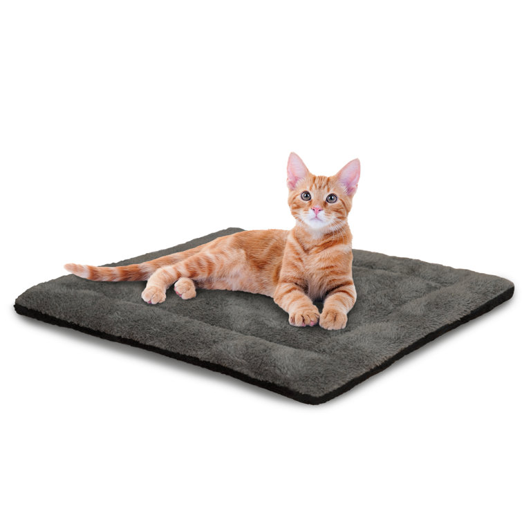 K&H Manufacturing Rectangle Cat Bed & Reviews - Wayfair Canada