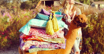 Tracy Porter | Wayfair