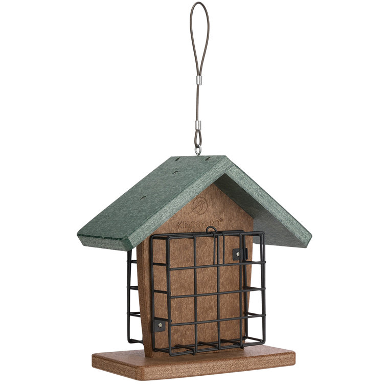 Arlmont & Co. Lanikki Suet Bird Feeder | Wayfair