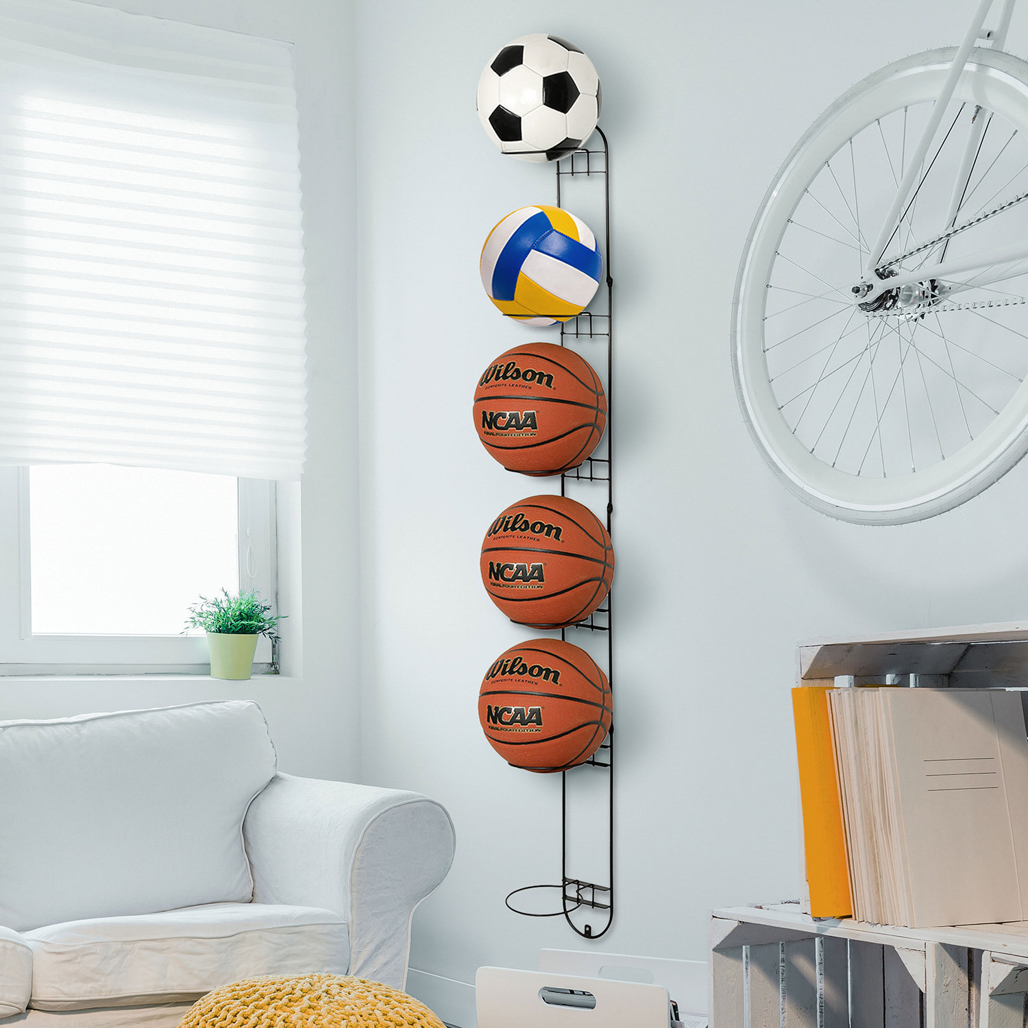 Rebrilliant Hopemarie Wall Mounted Sports Rack | Wayfair