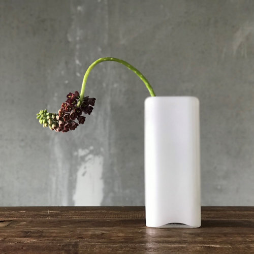 Modern White Vases | AllModern