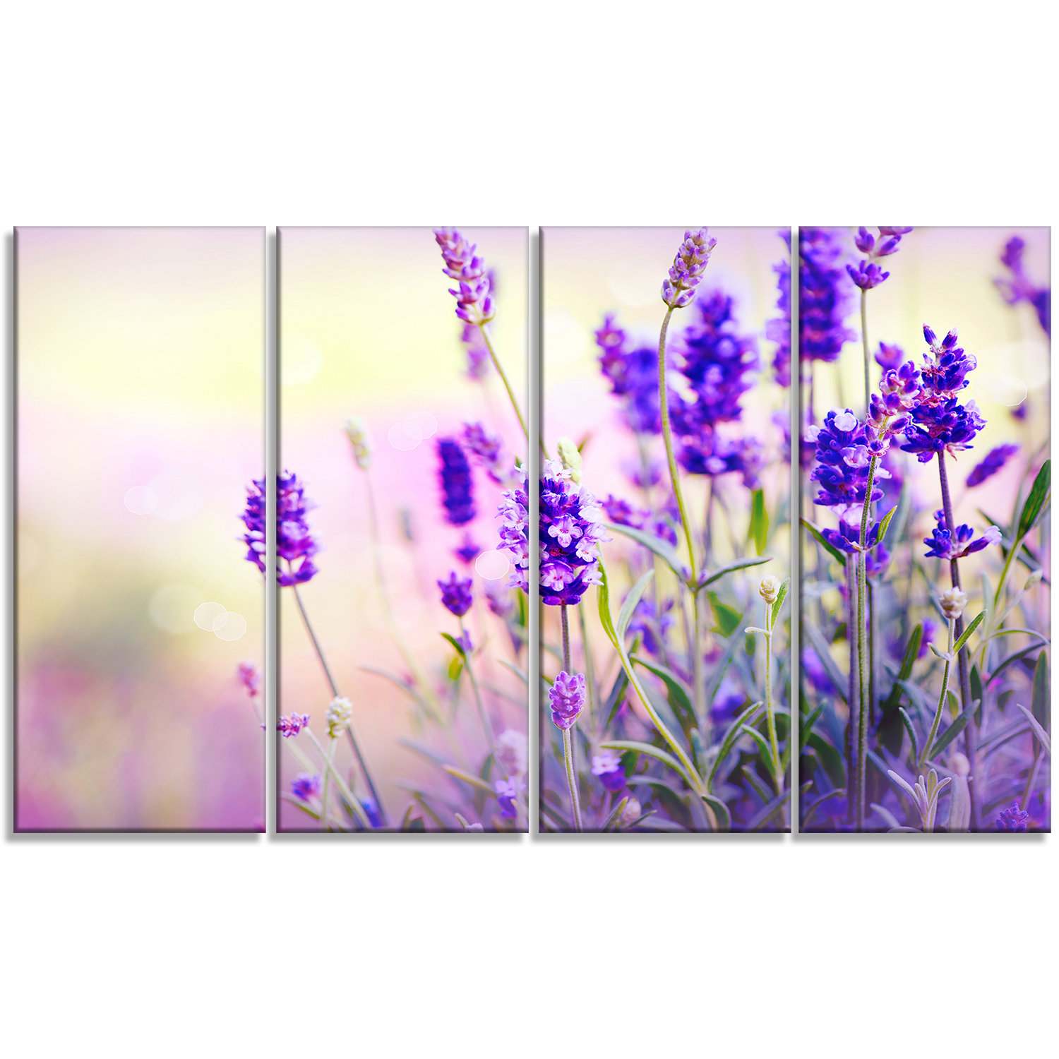 DesignArt Purple Lavender Field - 4 Piece Wrapped Canvas Graphic Art ...