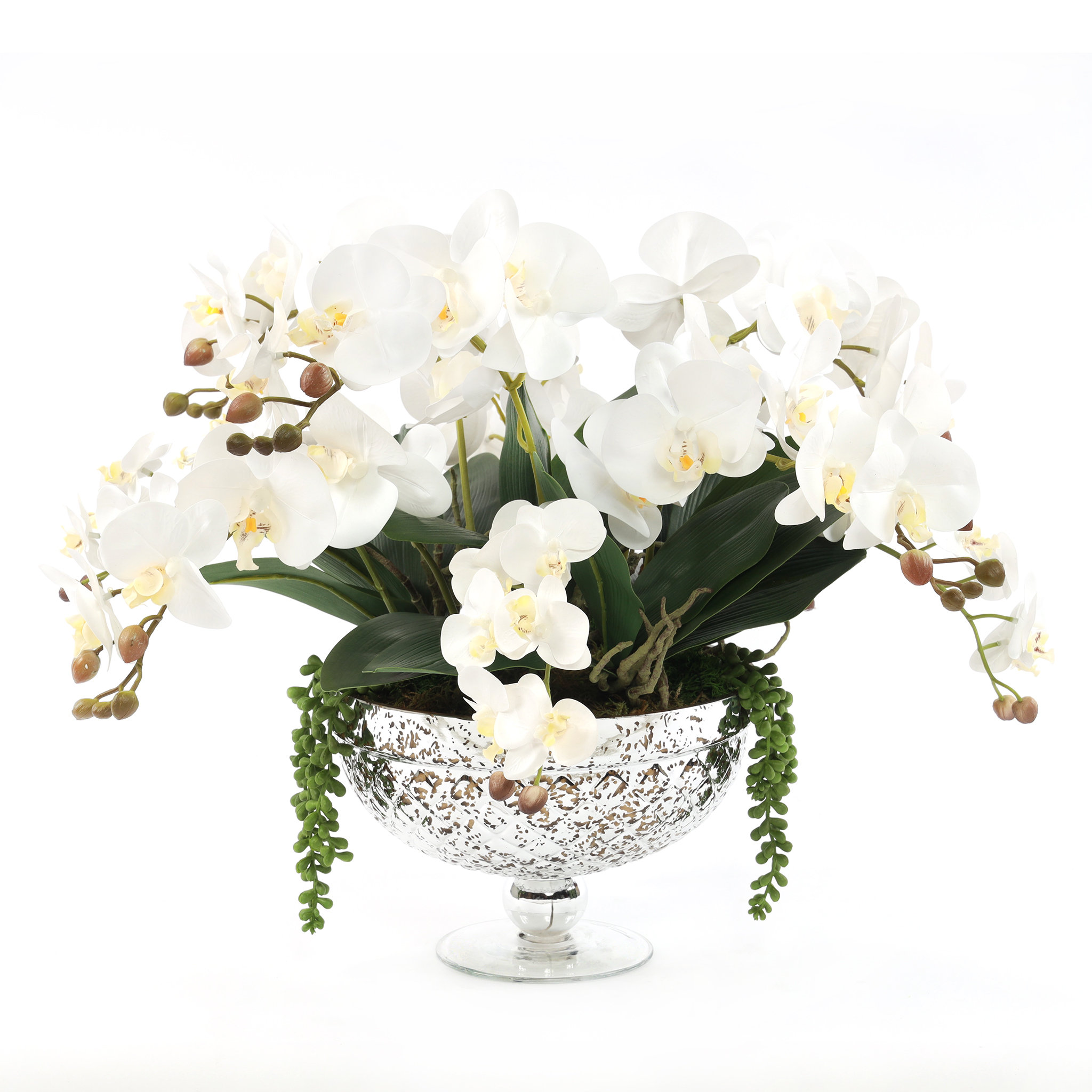 JennySilks Orchid Floral Arrangement in Vase | Wayfair