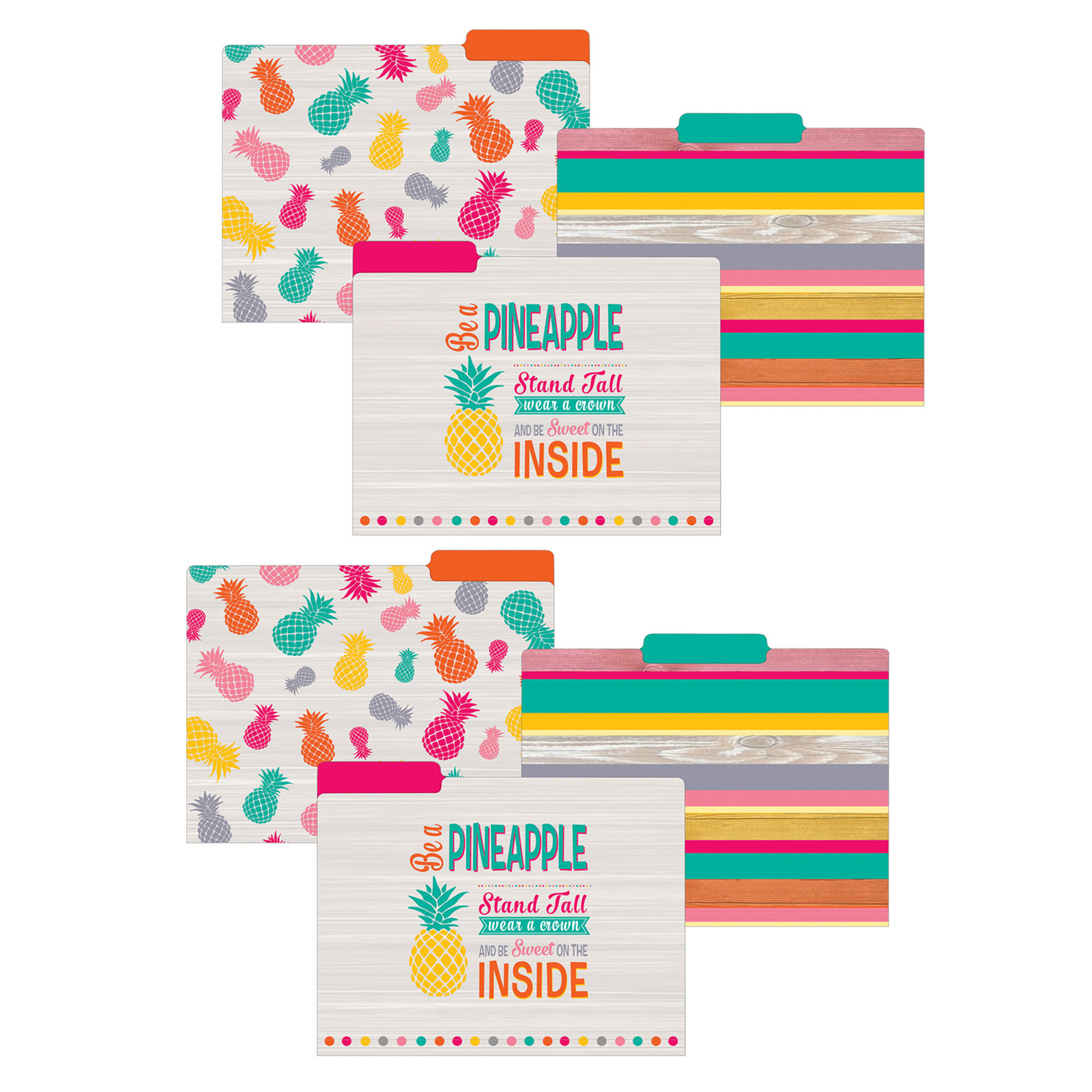 Teacher Created Resources Open Filing Unit File Folders | Wayfair