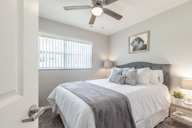 How to Find Which Direction Ceiling Fans Should Spin | Wayfair