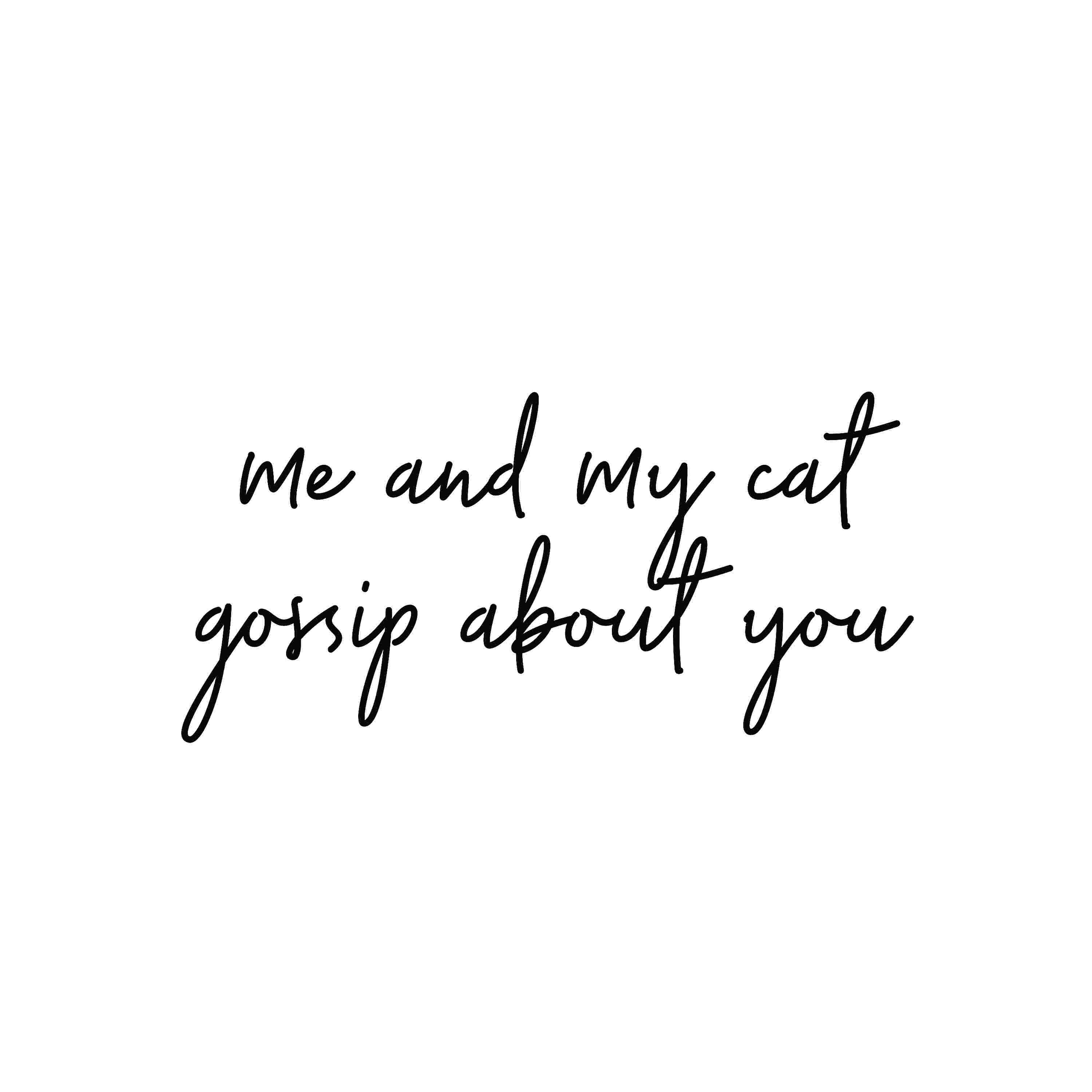 Trinx Cat Gossip - Wrapped Canvas Print | Wayfair