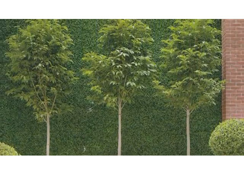 e-Joy Artificial Hedges Turf Panel | Wayfair