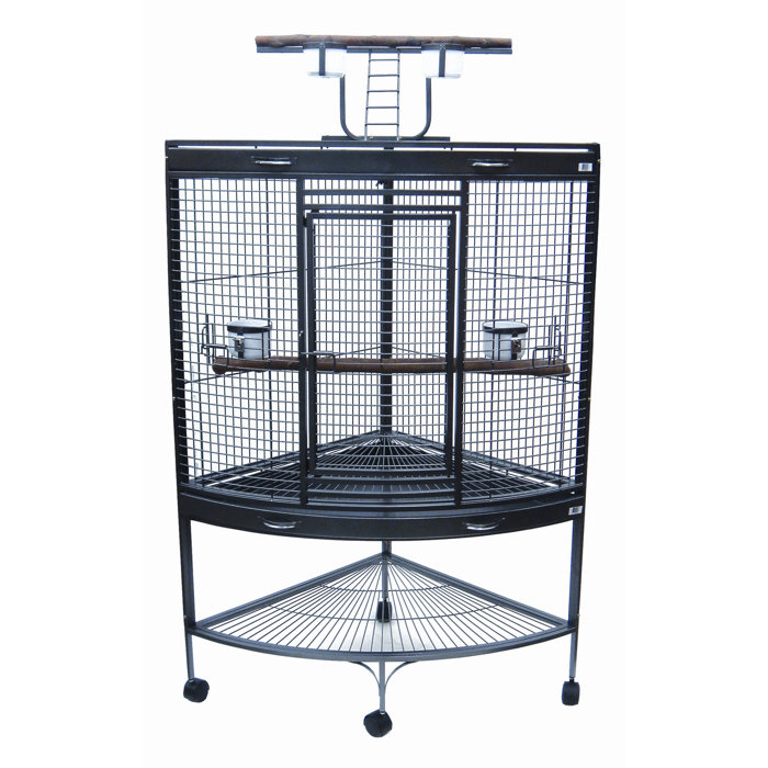 Tucker Murphy Pet™ Parrot Bird Cage & Reviews - Wayfair Canada