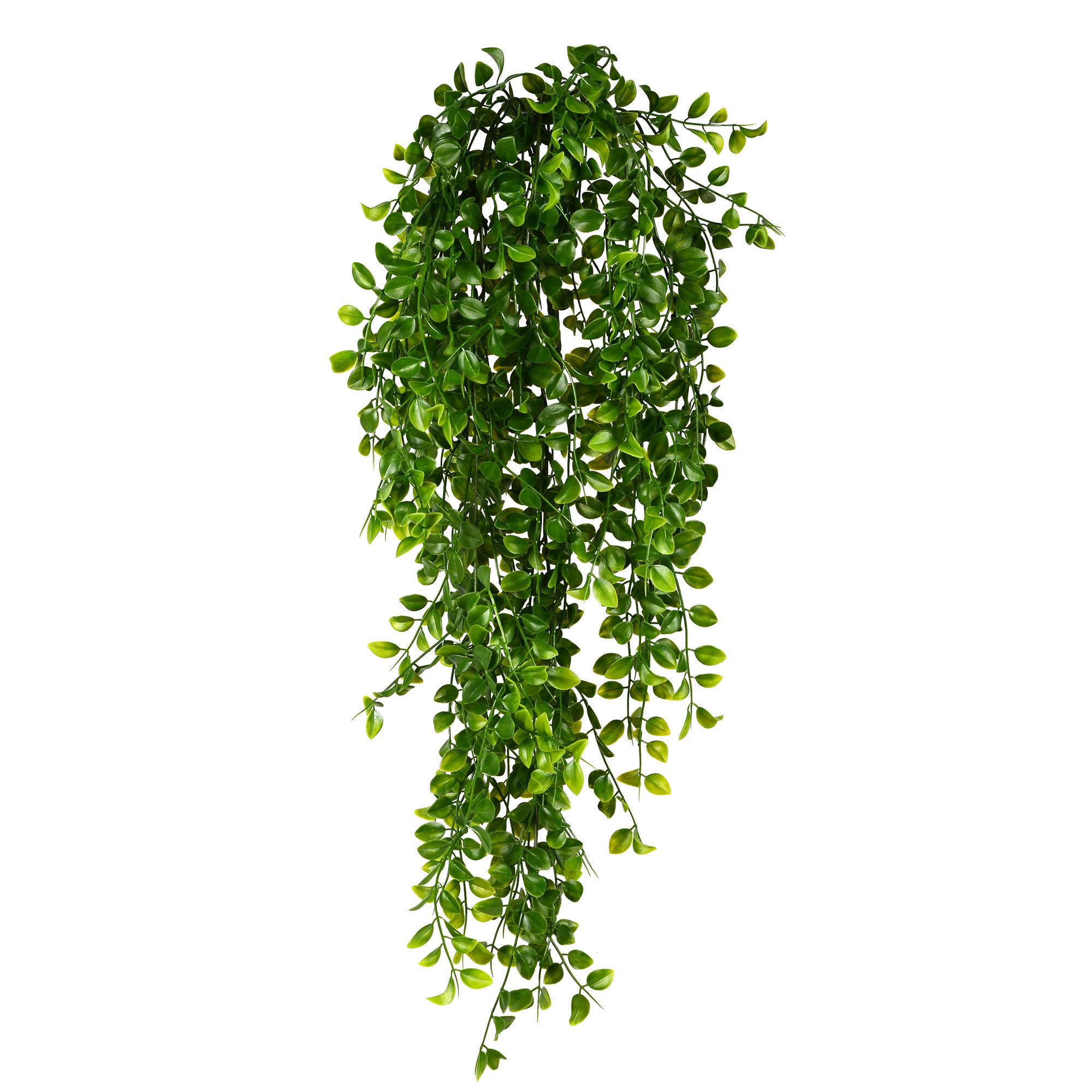 Ophelia & Co. Mini Leaf Hanging Bush & Reviews | Wayfair