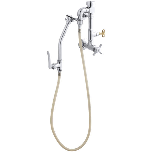 Kohler Bedpan Washer with Double Foot Control Mixing Valves and ...