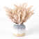Primrue Corn Floral Arrangements in Pot | Wayfair