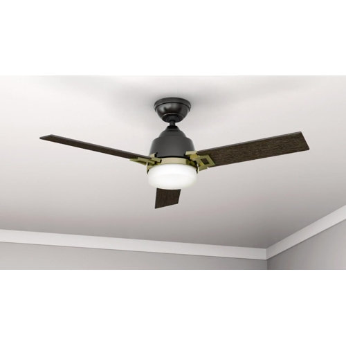 Hunter Fan 48'' Leoni 3 - Blade Standard Ceiling Fan with Remote ...