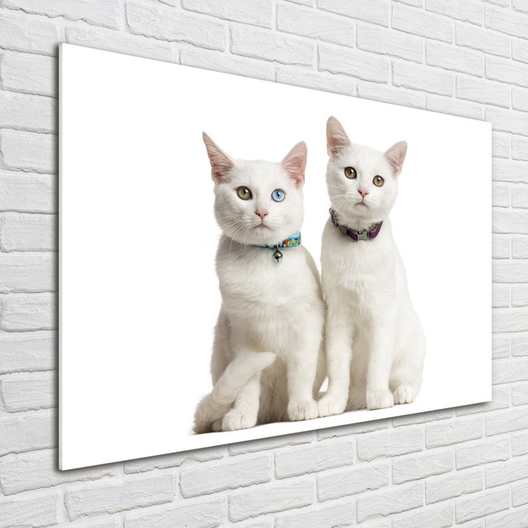 Ebern Designs White Cats - Unframed Art Prints on Glass | Wayfair.co.uk