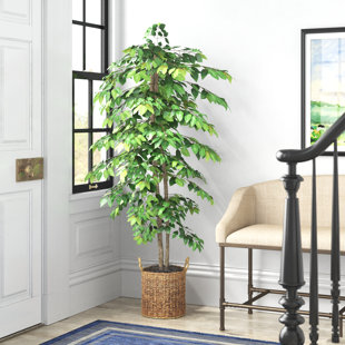 Wayfair | Artificial Trees