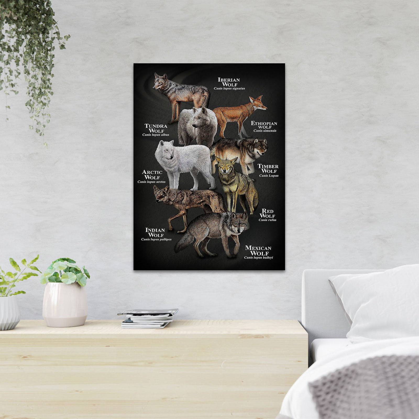 Trinx 8 Types Of Wolves - Wrapped Canvas Graphic Art | Wayfair