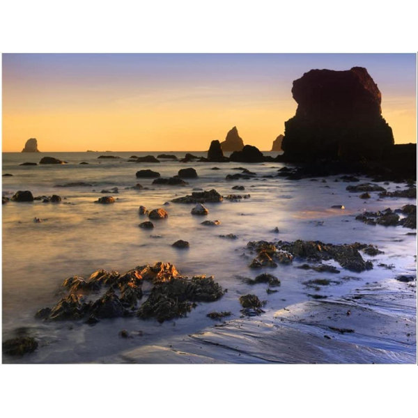 Dovecove Lone Beach At Sunset Oregon - Unframed Photograph | Wayfair