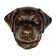 Michael Healy Labrador Retriever Door Knocker & Reviews | Wayfair