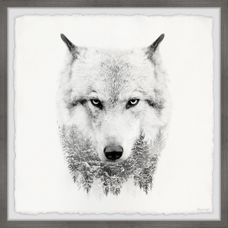 Millwood Pines White Wolf - Picture Frame Photograph | Wayfair