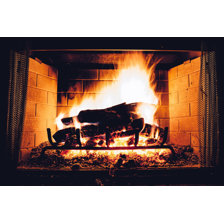 Real Flame Hamilton 13'' H x 43.75'' W Steel Wood Burning Outdoor Fire ...