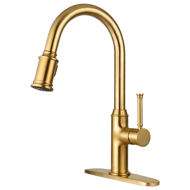 Lava odoro Pull Down Single Handle Kitchen Faucet with Accessories ...